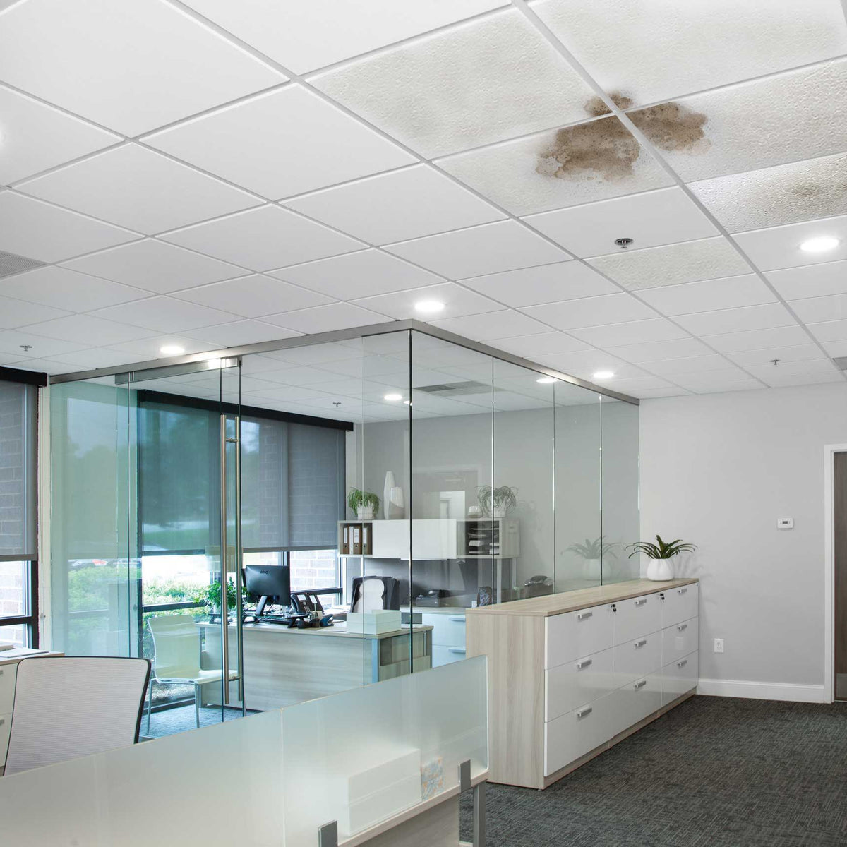A Professionals Guide to Suspended Ceilings