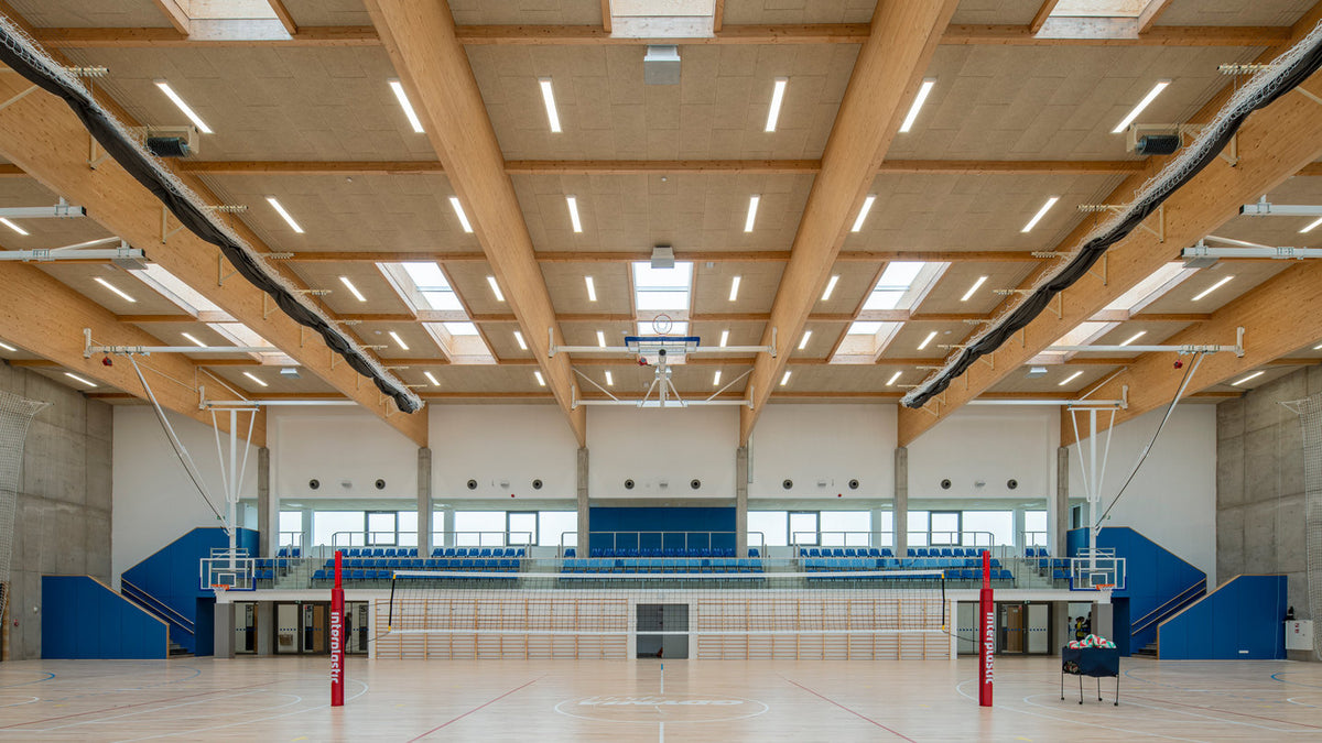 School Gym Ceiling Tiles - Acoustic Gymnasium Panels - UK