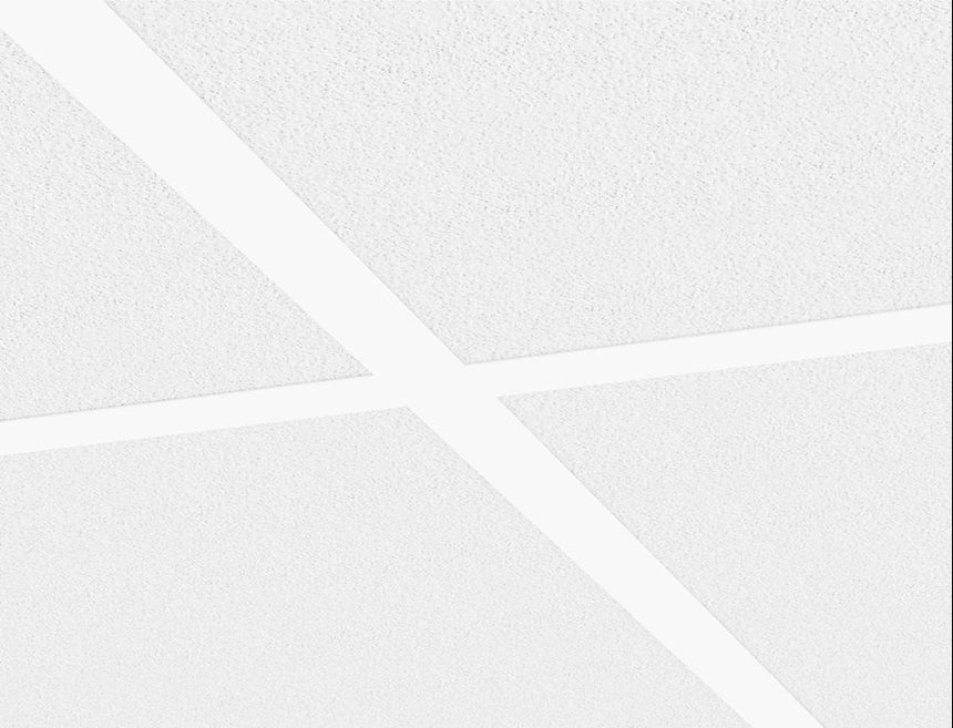 Ecophon Hygiene Ceiling Tiles